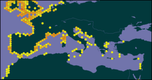 Dictyota dichotoma | Alga bifurcada | Espècies Marines del Mediterrani